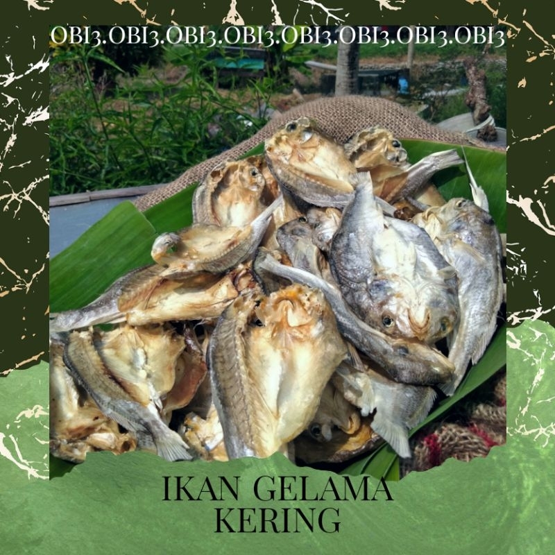 IKAN GELAMA KERING KURANG MASIN | Shopee Malaysia