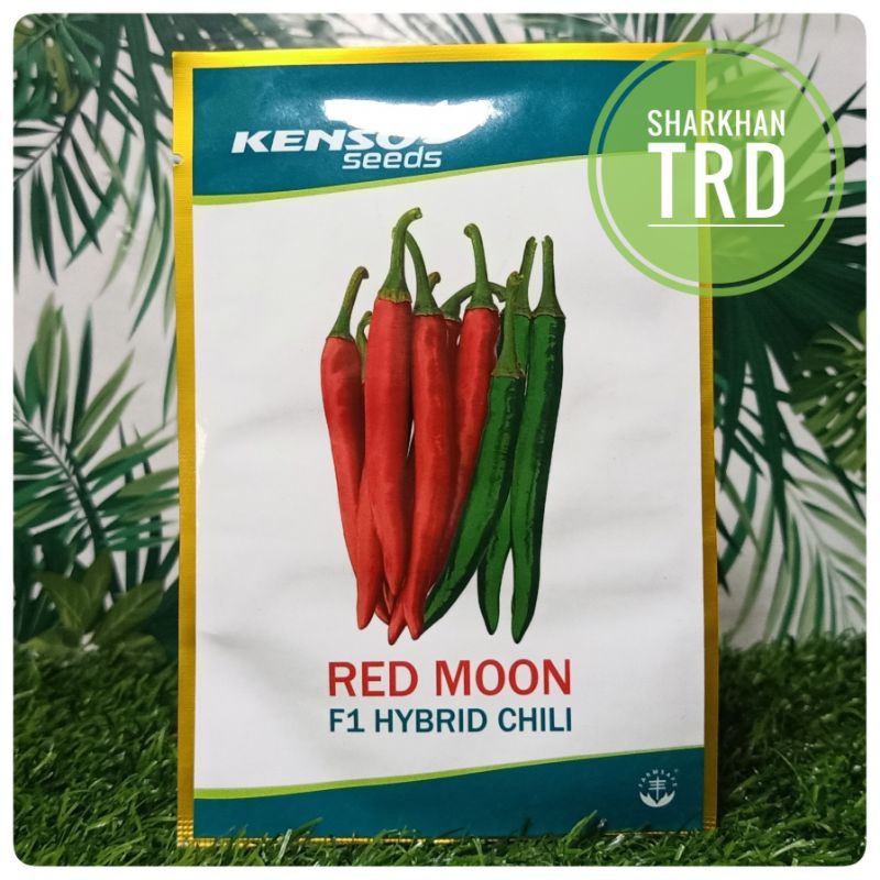 HOT🔥 Paket 10g RED MOON F1 Hybrid Chili Kenso Seeds Biji Benih Cili ...