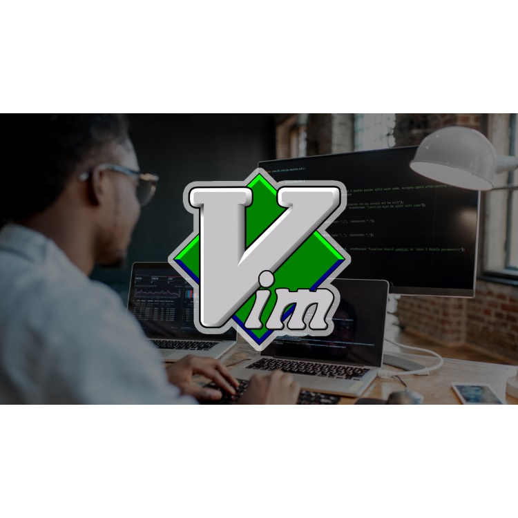 [Course]Vim Masterclass Essential Training || Crash Course || | Shopee Malaysia