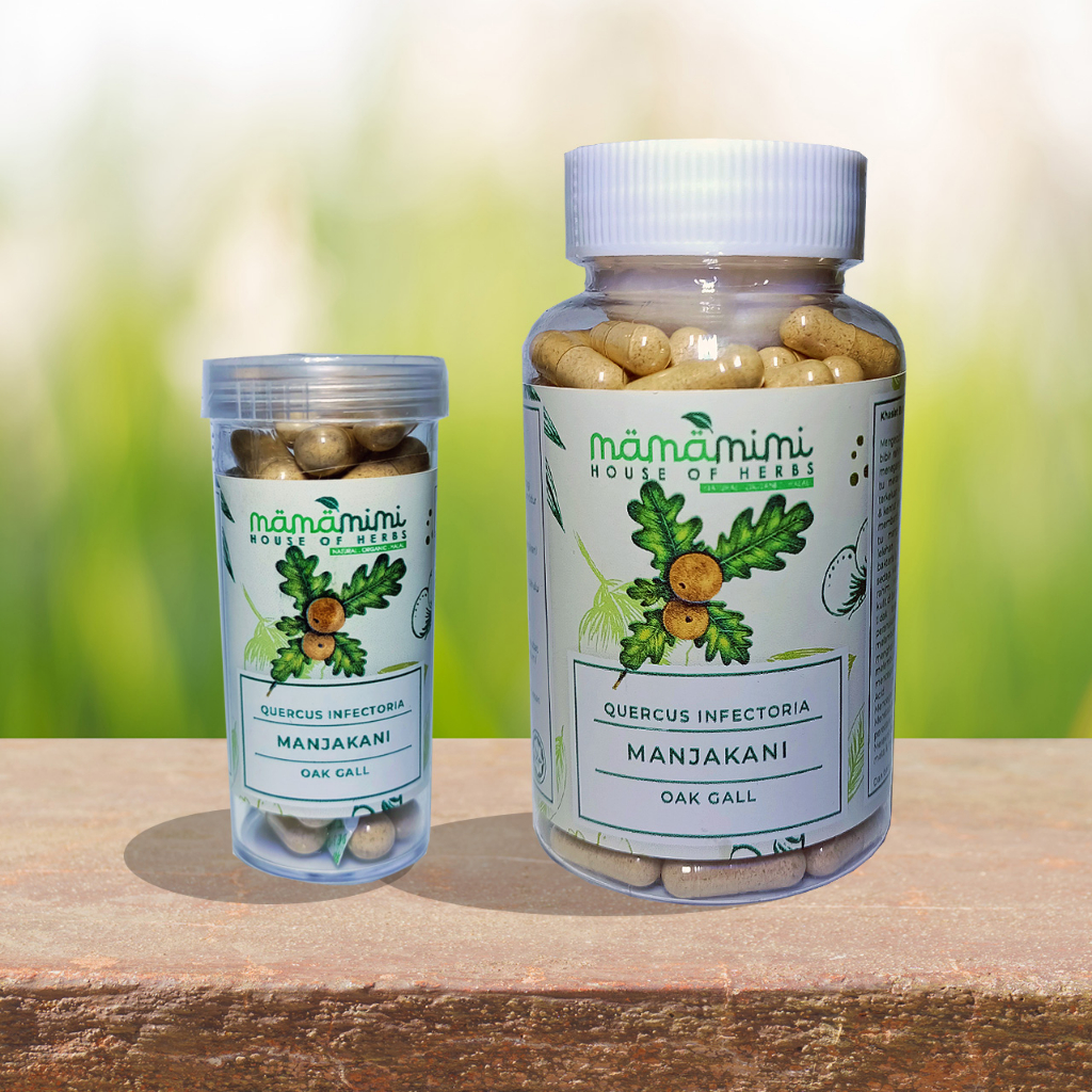 Kapsul Manjakani / Oak Gall / Quercus Infectoria - 480mg perkapsul ...