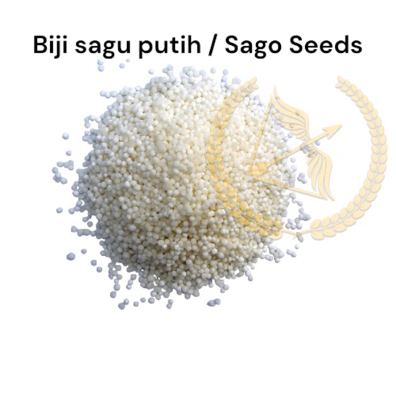 1kg Bigi Sagu Halus putih / Sago seed White 西米 | Shopee Malaysia