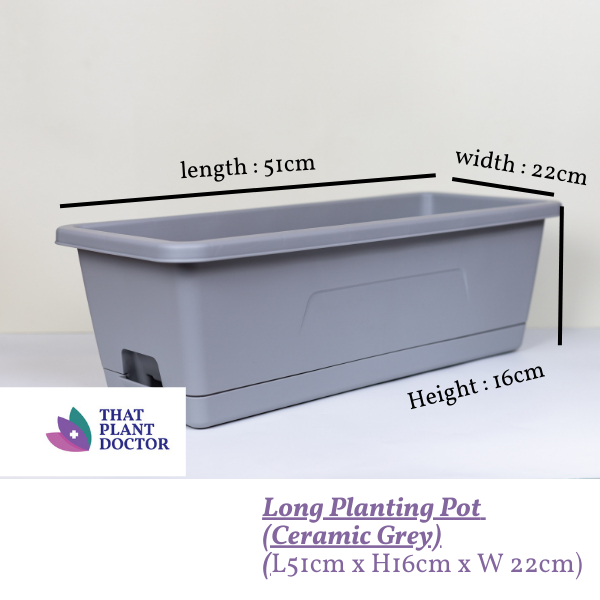 Long Planting Pot (Ceramic Grey) | Shopee Malaysia