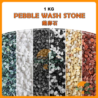 Buy pebble wash Online With Best Price, Oct 2025 | Shopee Malaysia