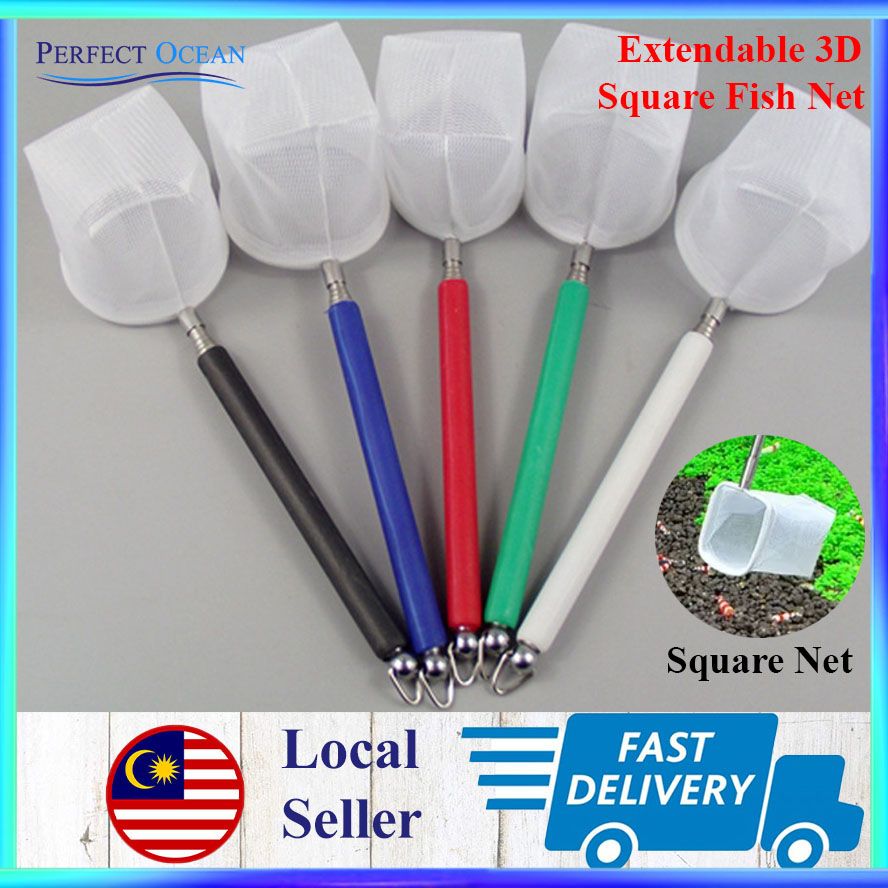 Extendable 3D Square Fish Net for Betta, Shrimp, Guppy, Sauk Jaring ...