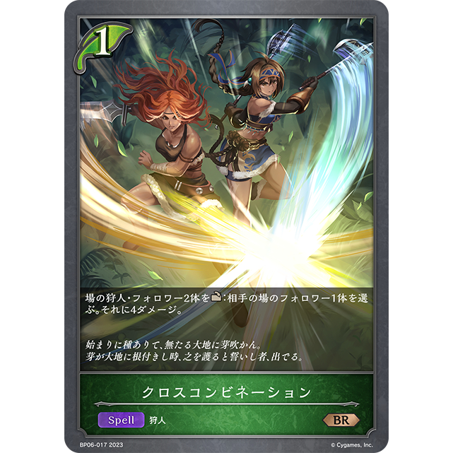 Shadowverse EVOLVE- BP06- ABSOLUTE CHAMPIONS- BR Cards- ELF | ROYAL | WITCH | DRAGON | NIGHTMARE ...
