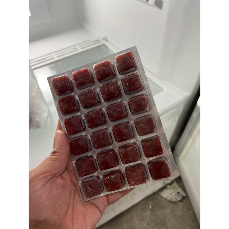 CACING BEKU FROZEN WORM BLOOD WORM FISH FOOD 🐟 HIGH PROTEIN | Shopee ...