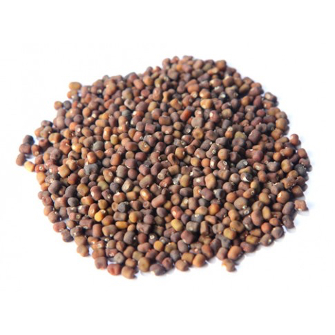 Pj Pueraria Javanica Cover Crops Penutup Bumi 1KG | Shopee Malaysia