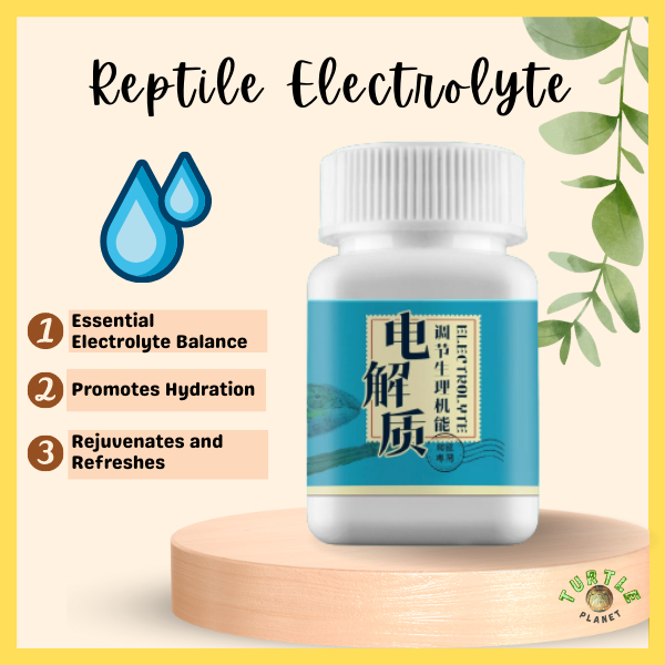Turtle Electrolyte Turtle Hydration Turtle Care Products Turtle ...