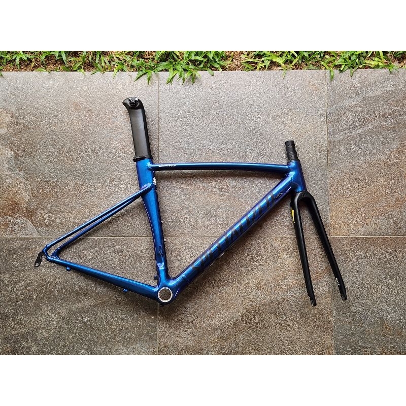 SPECIALIZED ALLEZ SPRINT CHAMELEON LIMITED EDITION FRAMESET (52) RIM ...