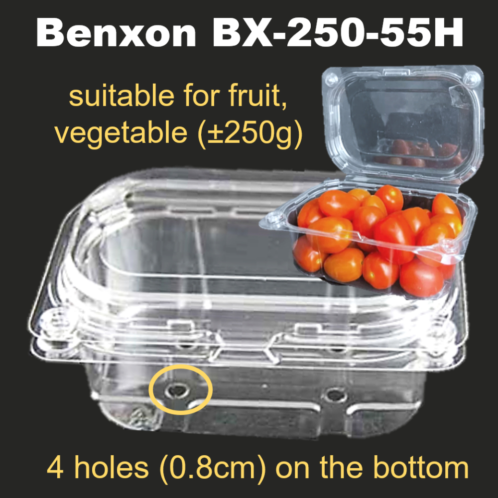 50pcs BENXON BX 250-55H Rectangle Fruit Tray with Curved Edge ...