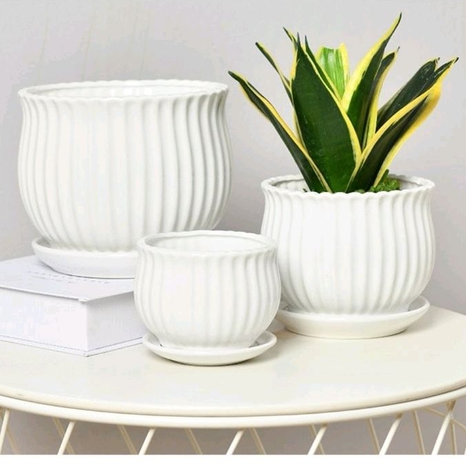 Ceramic Flower Pot 🇲🇾 White Flower Vase / Pasu Seramik / Pasu Orkid ...