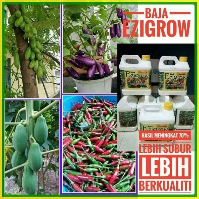 EZIGROW VITAMIN UNTUK Tumbuhan Baja Organik 4liter | Shopee Malaysia