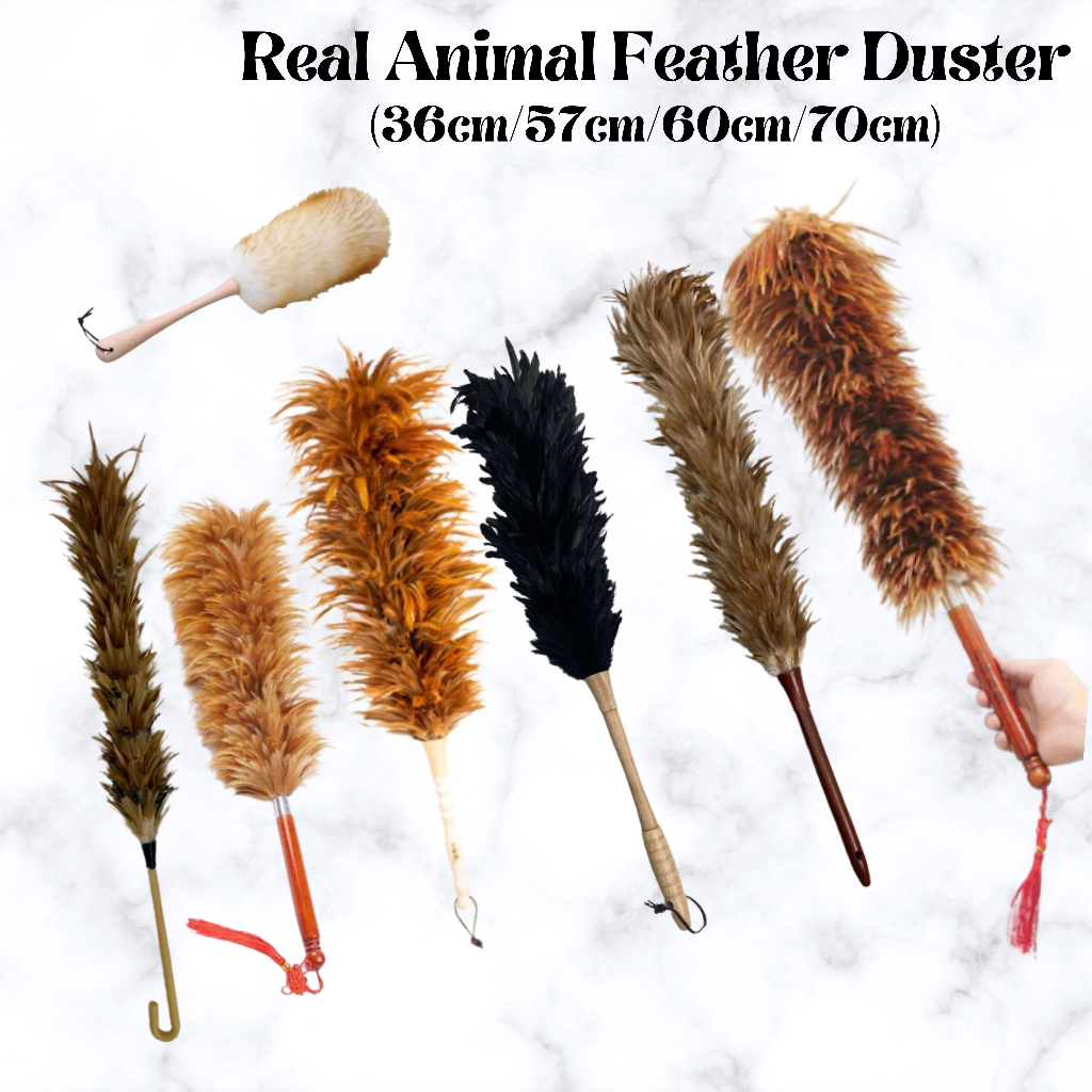 Original Real Feather Duster Bulu Ayam 55cm/57cm/60cm/70cm Cock Duster ...