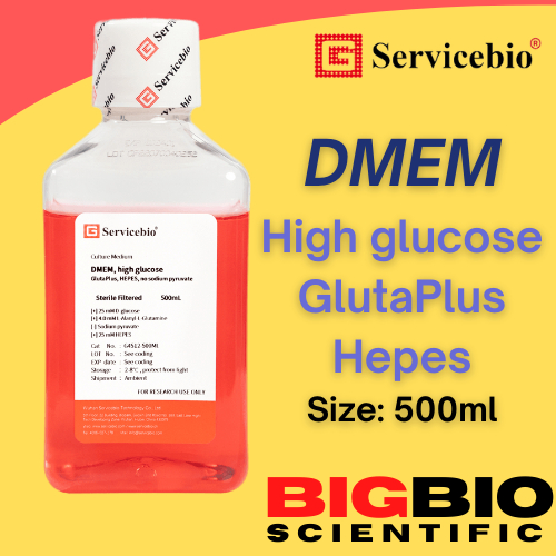 DMEM, High glucose with GlutaPlus and HEPES for Cell Culture | Shopee Malaysia