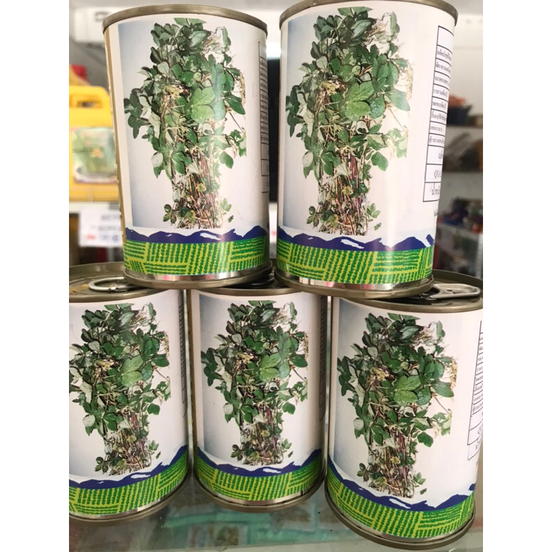 Tin 30g Biji Benih Maman Lions Seeds / CLEOME Lions Seeds | Shopee Malaysia