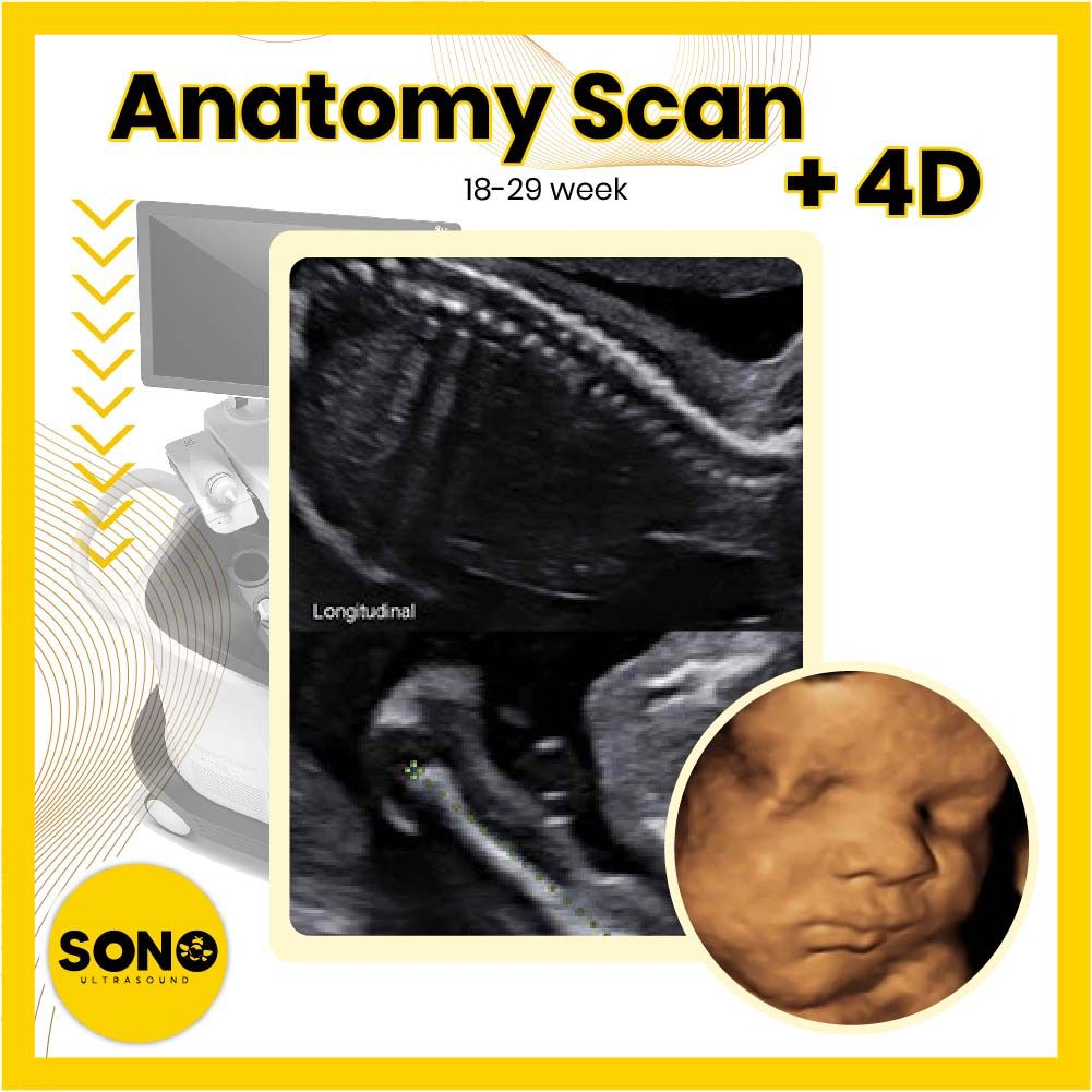 ANATOMY SCAN + 4D (18-29 WEEK) | Shopee Malaysia