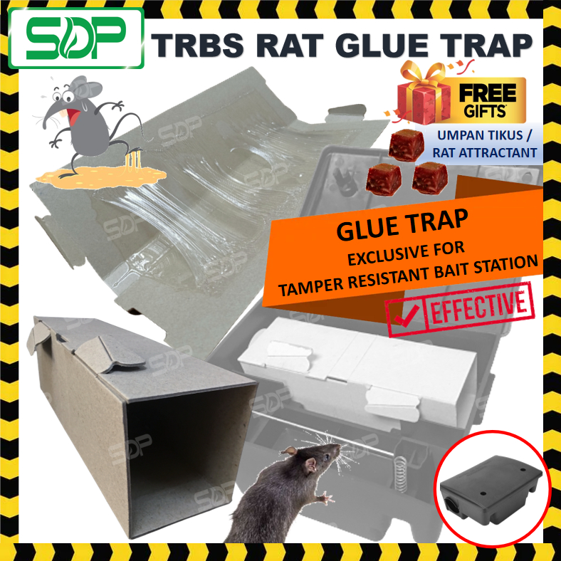 TRBS Mini Rat Glue Trap / Gam Tikus / Berkesan!! / Effective ...