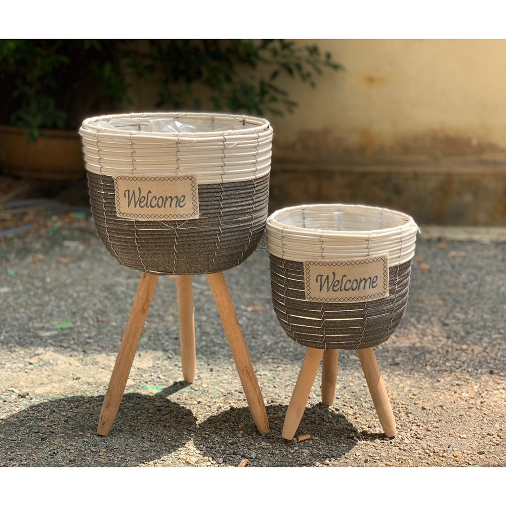 Pasu Rottan Berkaki/pasu bunga/pasu pokok viral/bakul pokok/basket ...