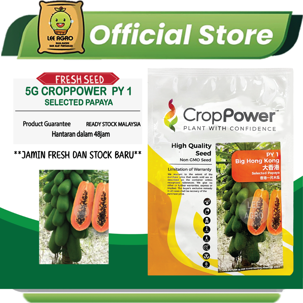 PY1-Benih Betik Sekaki / Crop Power Dwarf Papaya Seeds/DA 029/DA029Big ...