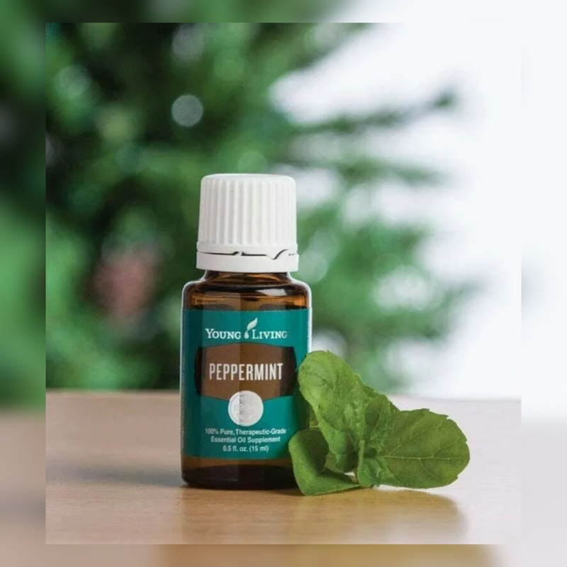 Young Living Peppermint Essential Oil (15ml) | Shopee Malaysia