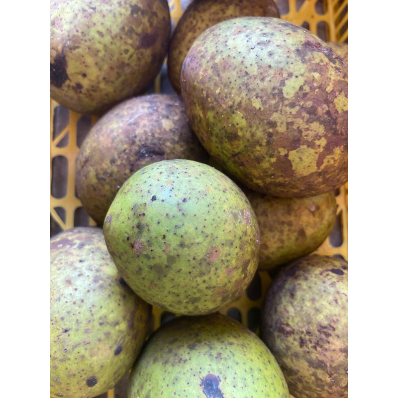 buah macang kampung 1 kilo/macang kacukan kuinin 1kilo/buah bacang ...