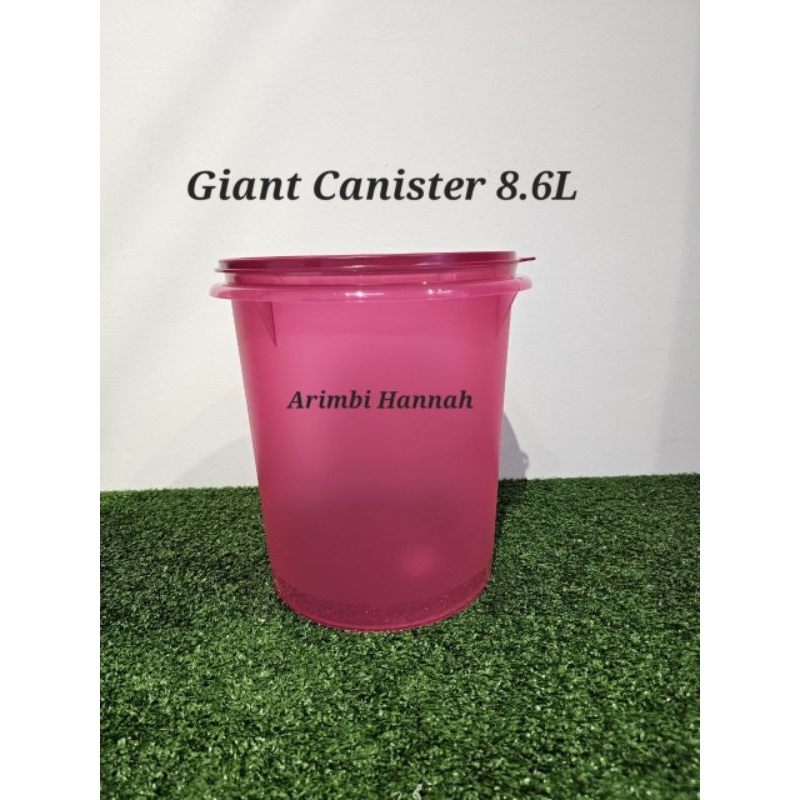 Tuppeware GIANT CANISTER FLOWER Pink / Toska / Terquise 8.4L (READY ...