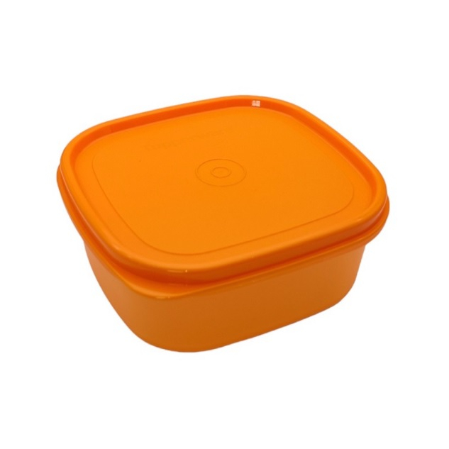 Tupperware Ezy Pack 650ml (1pc) | Shopee Malaysia