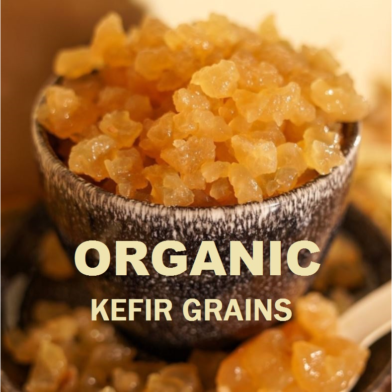 Water Kefir Grains Probiotic Water Kefir Grain KEFIR / 克菲尔颗粒 (Active ...