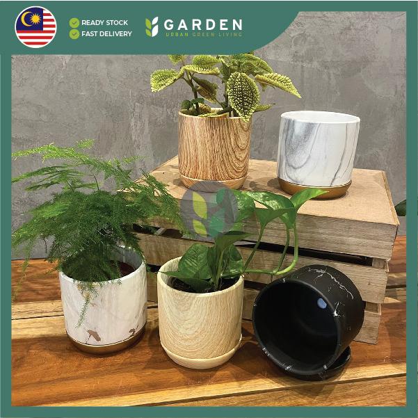 [With Tray] Marble Wood Sticker Round Ceramic Flower Pot Desktop Fleshy ...