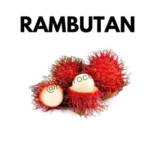 rambutan - Prices and Promotions - Aug 2025 | Shopee Malaysia