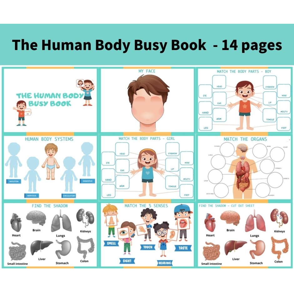 A32 - [PDF] The human body busy book Quiet book 14 pages | Shopee Malaysia