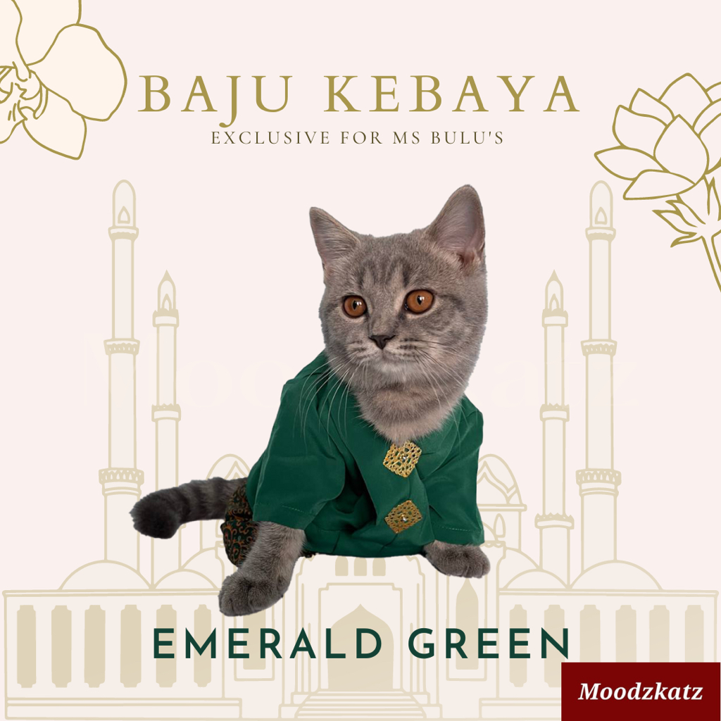 [Ready Stock Raya 2024] Baju Raya Baju Kebaya Kucing + Kain Batik ...