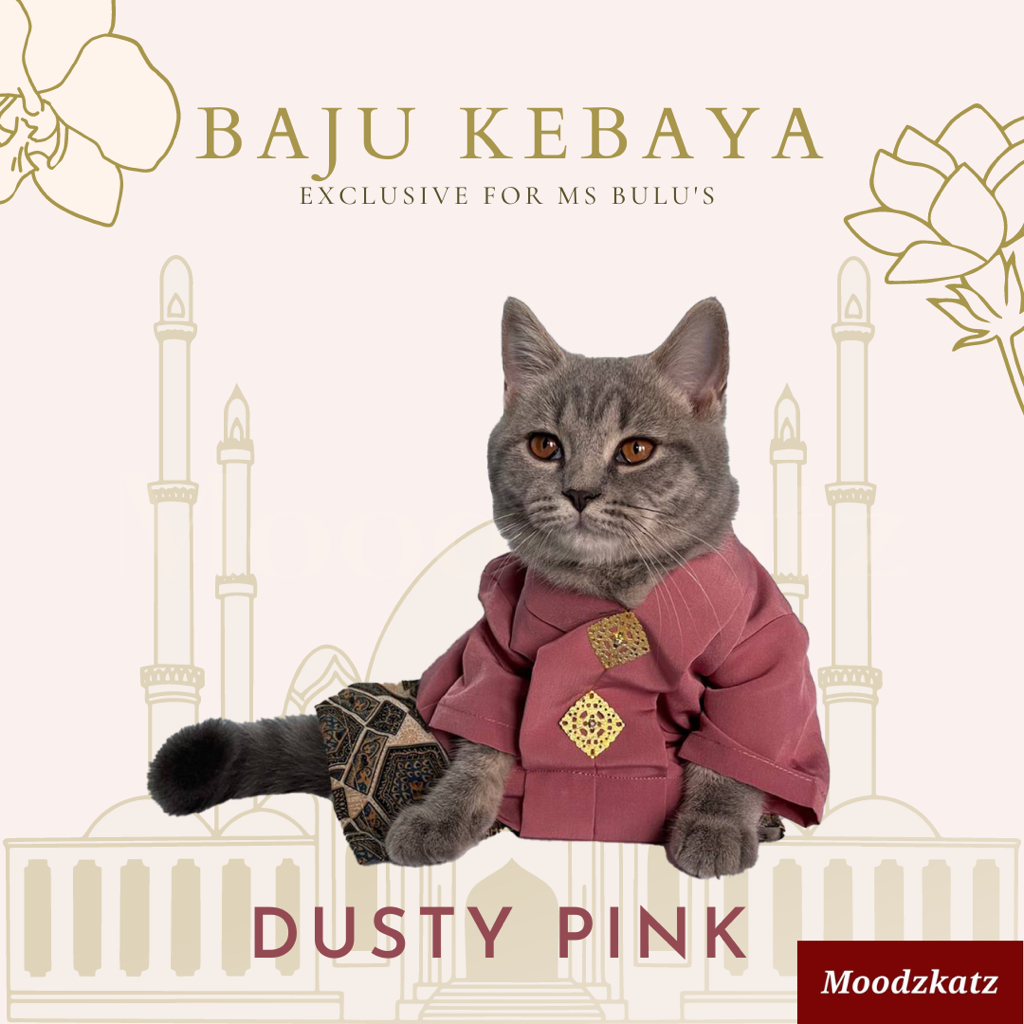 [Ready Stock Raya 2025] Baju Raya Baju Kebaya Kucing + Kain Batik ...
