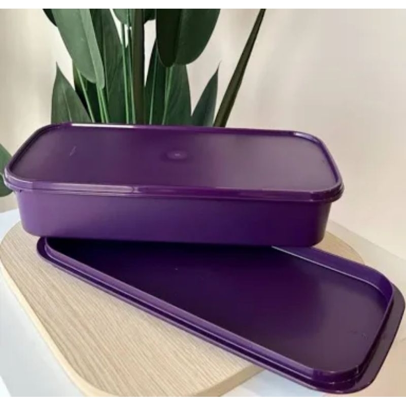 Tupperware Shallow Carry All with Extra Seal 3.2L (1pc) | Shopee Malaysia