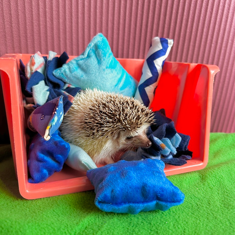 Digging Box Hedgehog Dig Condiments Pillow Toy | Shopee Malaysia