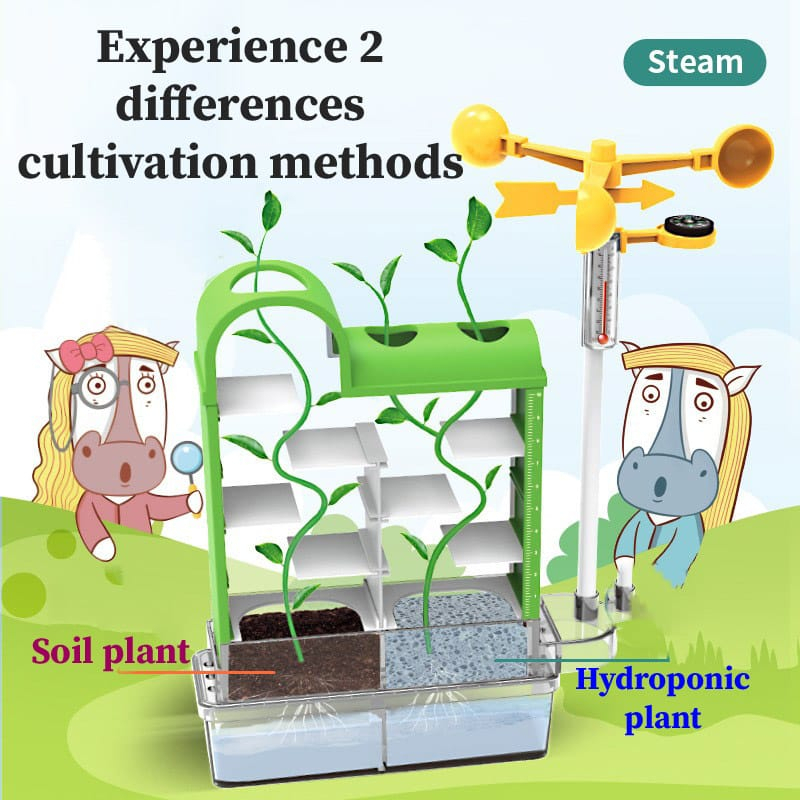 (Ready Stock) DIY Grow Maze Plant Kits stem science experiments plant ...