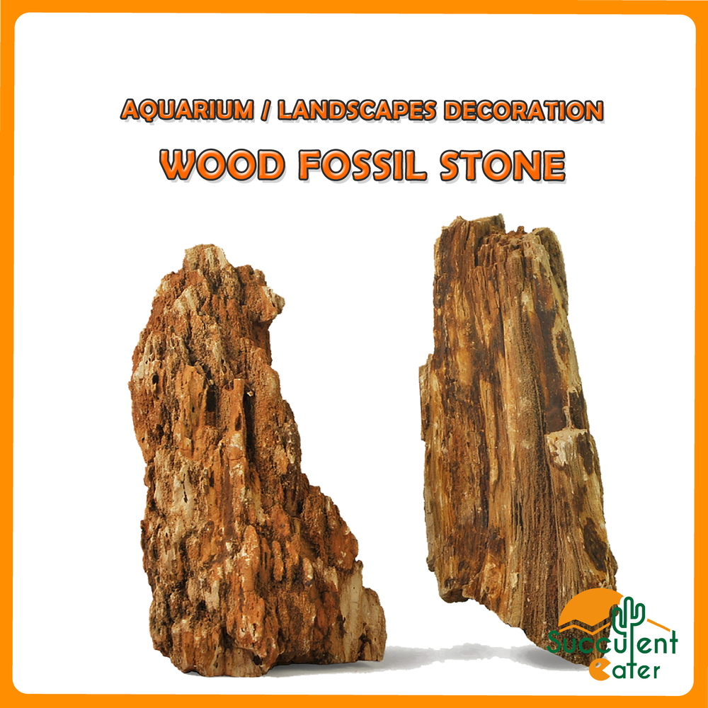 Wood Fossil Stone for Aquarium Decoration Landscape Garden 木化石 | Shopee ...