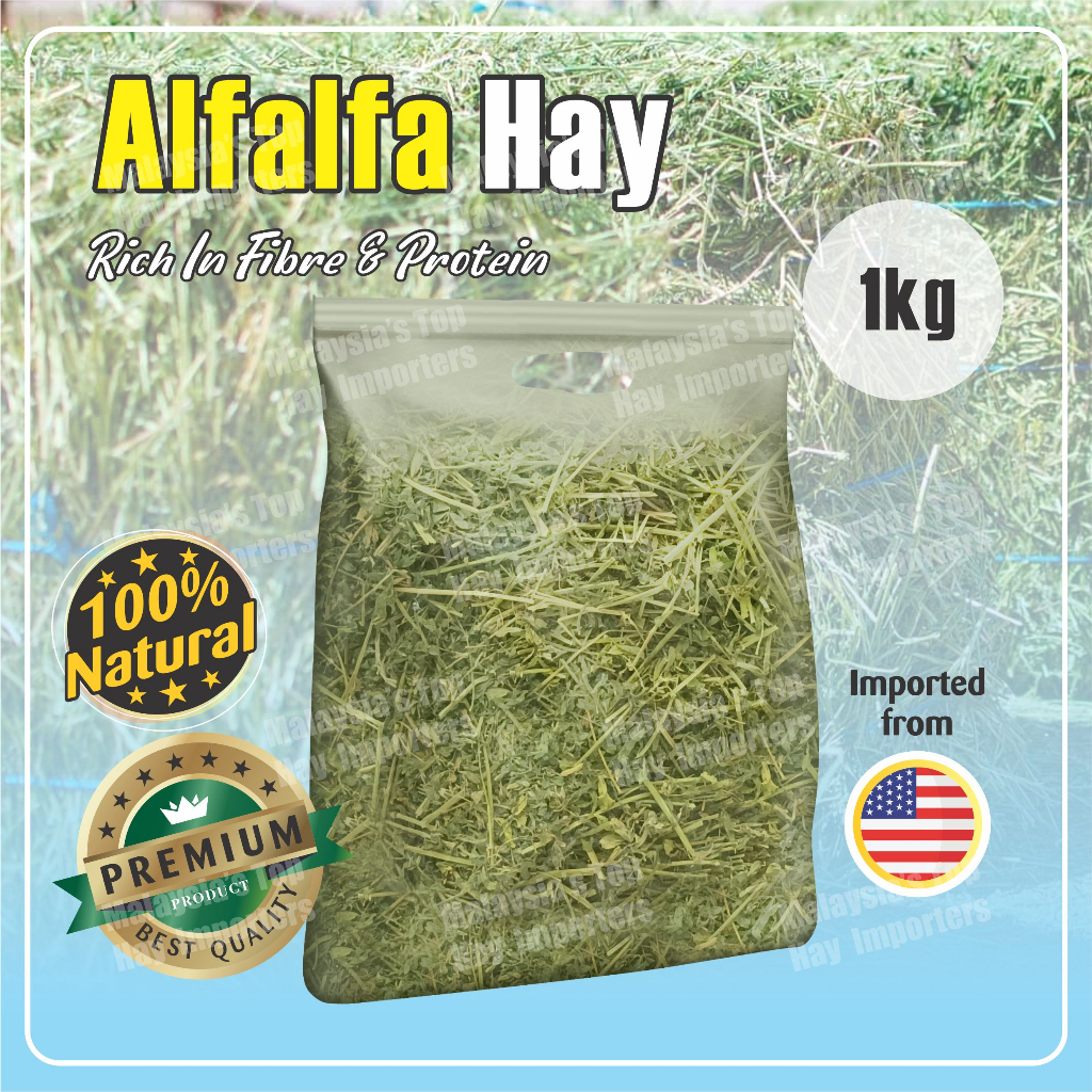 Dust Free Premium filtered Timothy / Alfalfa / Orchard imported hay 1kg small animal | Shopee ...
