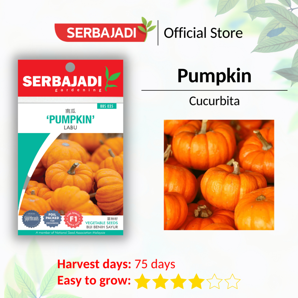 Serbajadi Vegetable Seed Pumpkin/ Biji Benih Sayur Labu/ Labu Kuning ...