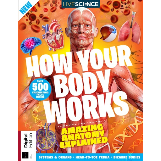 HOW IT WORKS: How Your Body Works Amazing Anatomy Explained First ...