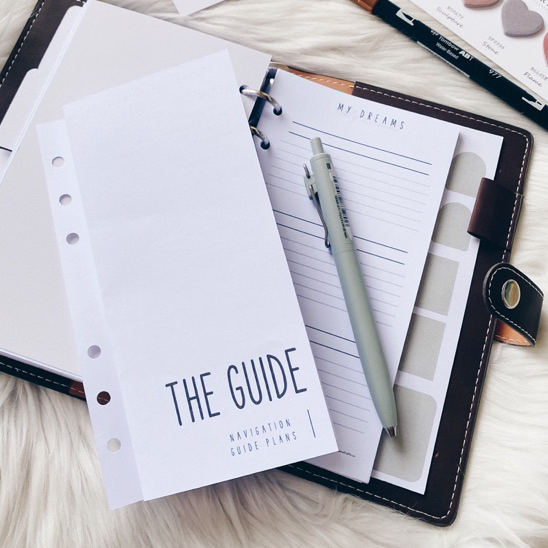 GOAL Setting 2024 SET A6 A5 Refill Planner Insert | Skippyskittle ...