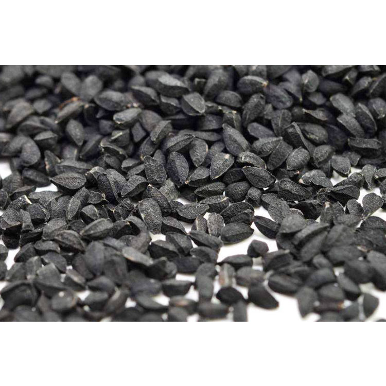 [Habbatus sauda/Black Caraway/Black Cumin/Black Seed/Nigella Sativa ...