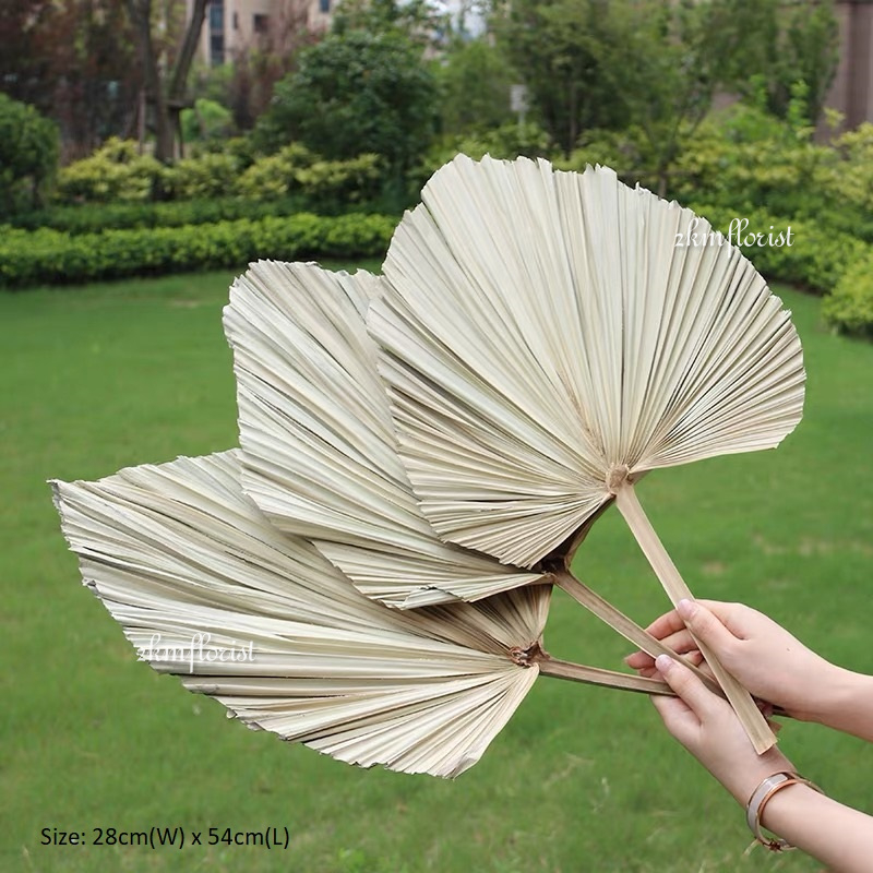 DAUN KIPAS Kering Dry Leave Artificial Flower Wedding Decoration Bunga ...