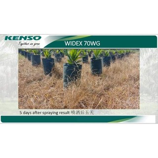 WIDEX KENSO 250g Tiafenacil 70% Free Silic Surfactant 250ml | Shopee ...