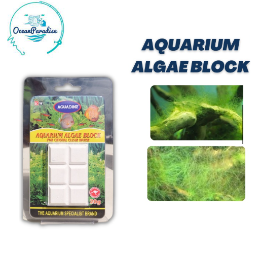 Aquadine Aquarium Algae Block 20g / Algae Remover for crystal clear ...