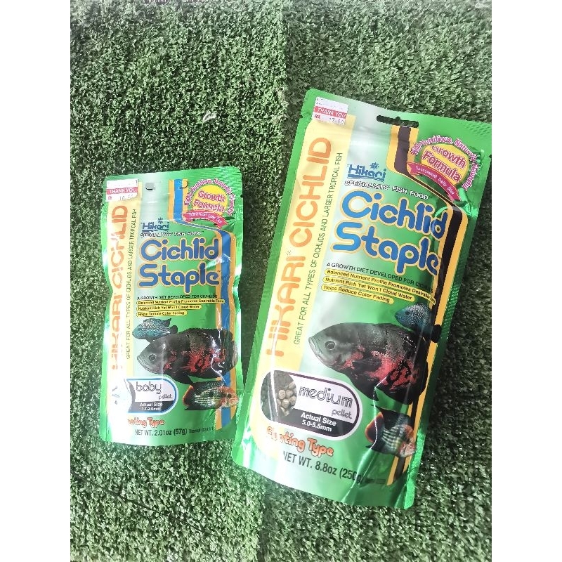 [Ready Stock] Hikari Cichlid Staple Fish Food Floating Type baby pellet ...