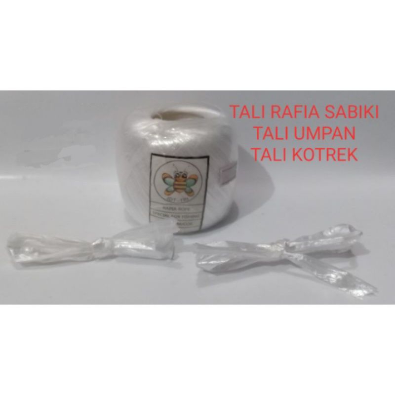 (10pcs) Tali RAFIA Putih Rope White Color Price METERAN Rope Plastic ...