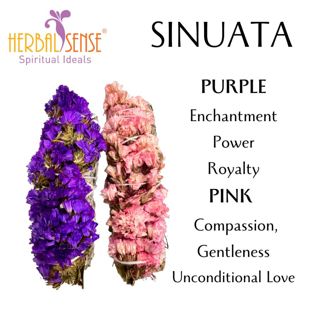 Pink and Purple Sinuata Sage Cleanses, Compassion, Unconditional Love ...