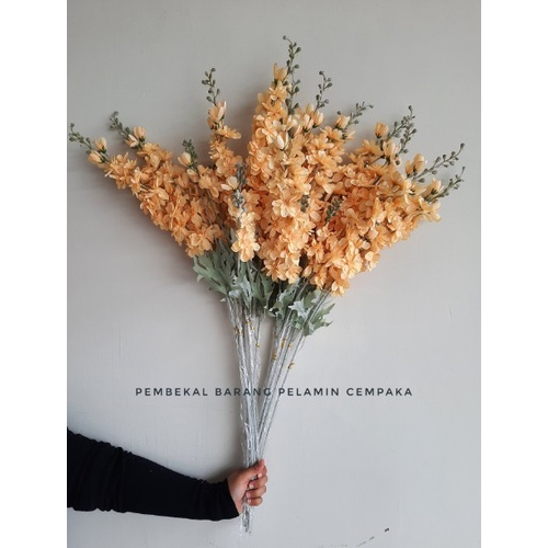 Bunga Harum Sundal Malam Bunga Jagung Hiasan Pelamin Matthiola Flower ...