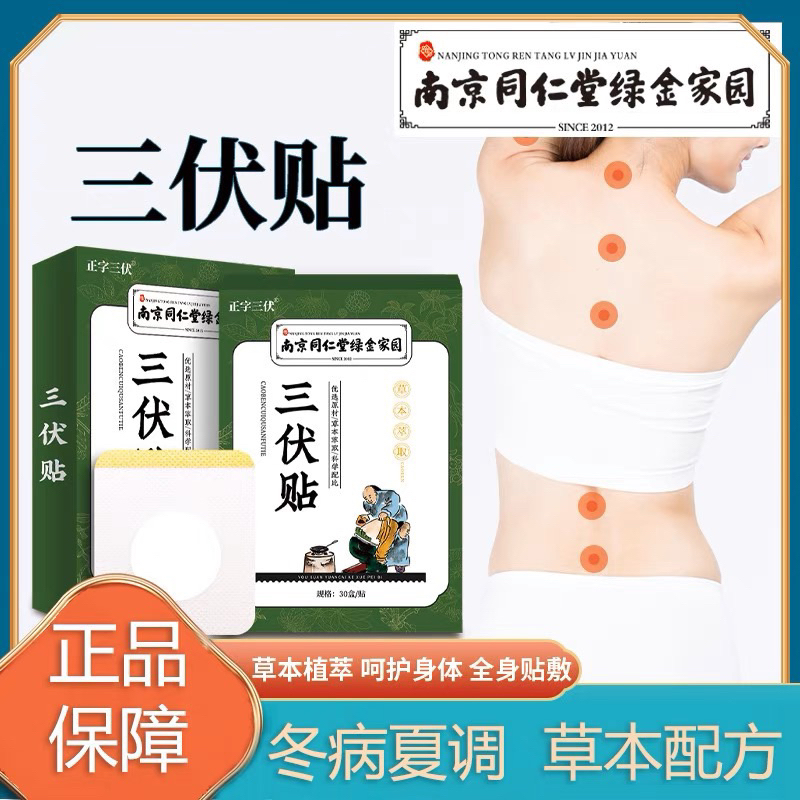 sanfu paste acupoint plaster南京同仁堂三伏贴穴位贴膏 | Shopee Malaysia